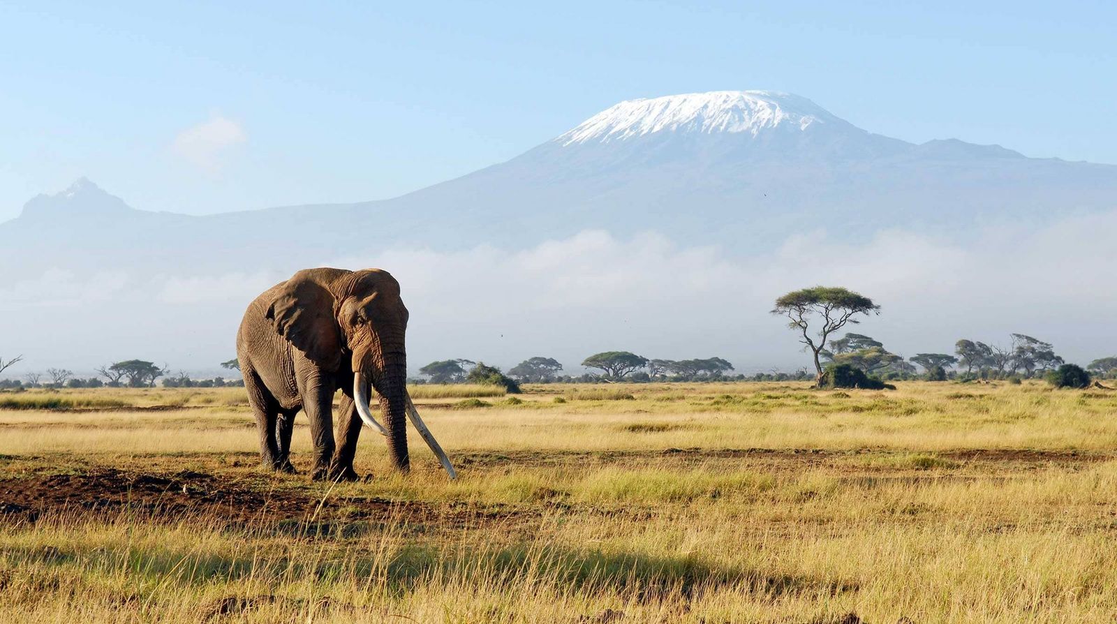 Kenia: Günstige Ferien buchen